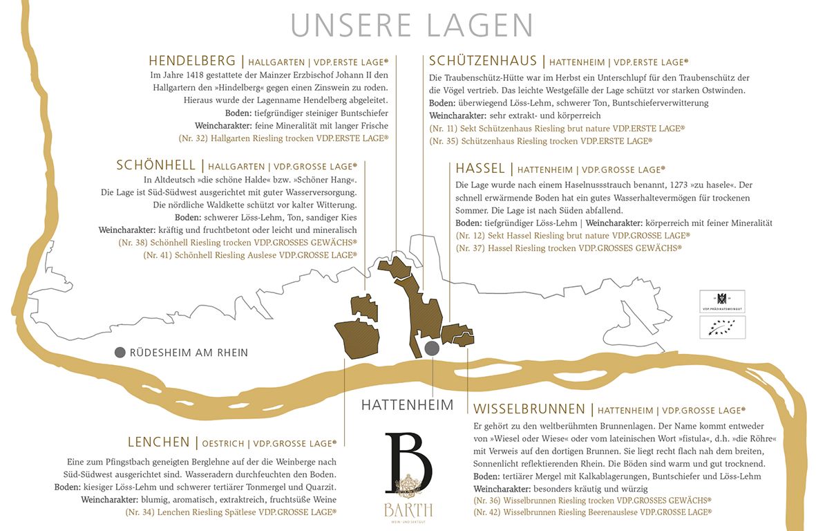 Barth Wein- und Sektgut aus dem Rheingau - Weingut