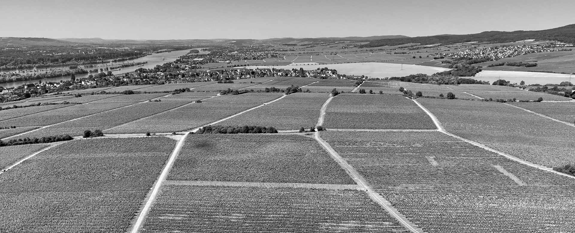 BARTH VDP Weingut und Sektgut aus dem Rheingau - Weingut